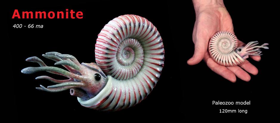 Ammonite Palaeozoic lifeform